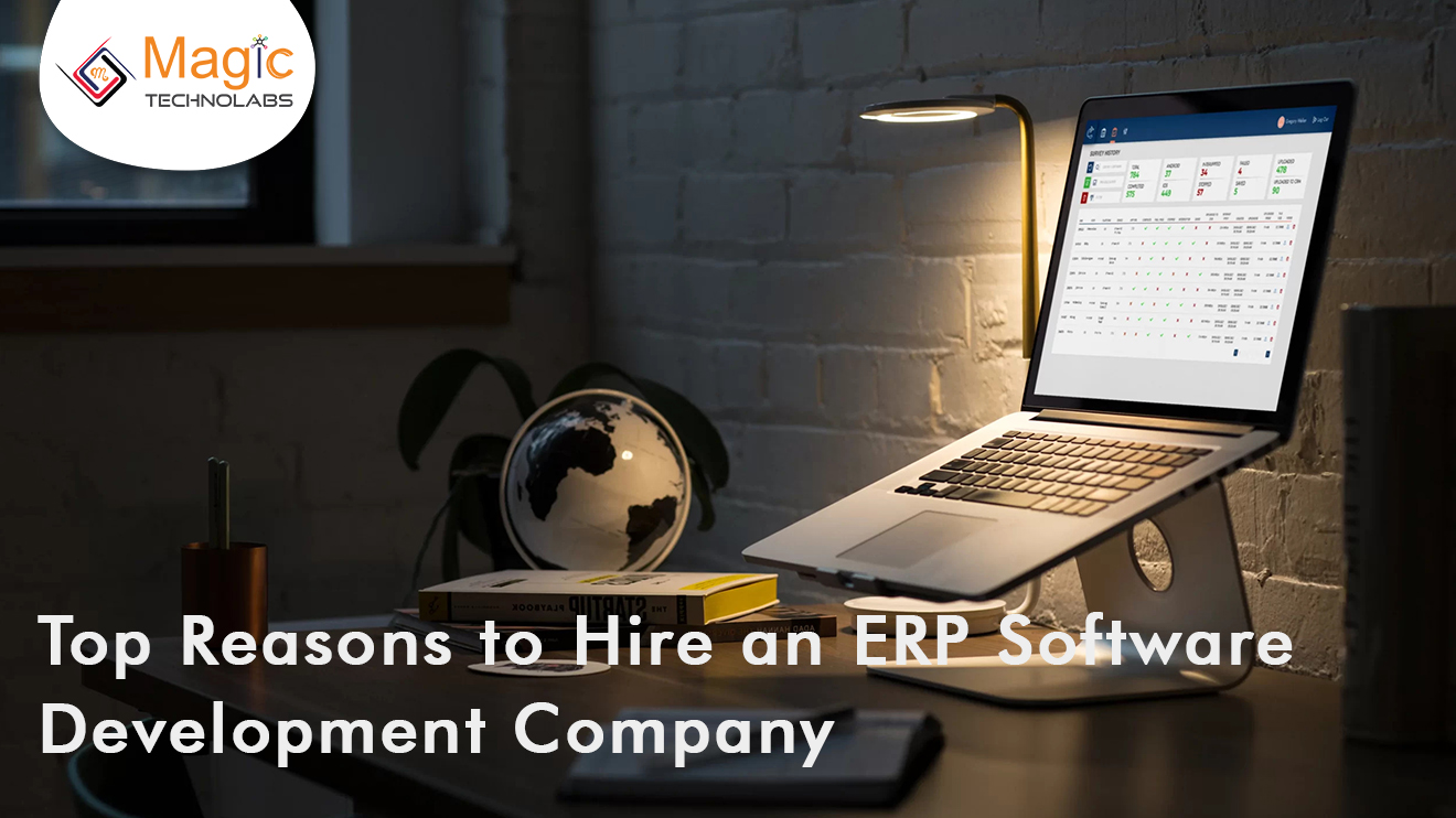 Top Reasons to Hire an ERP Software Development Company