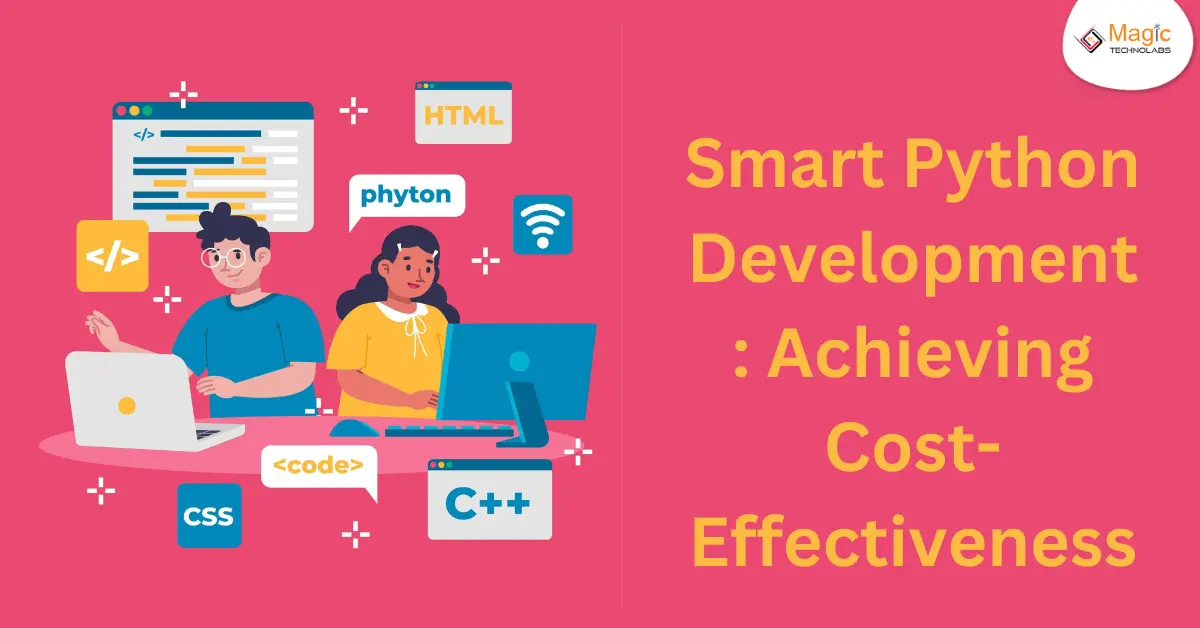 Smart Python Development: Achieving Cost-Effectiveness