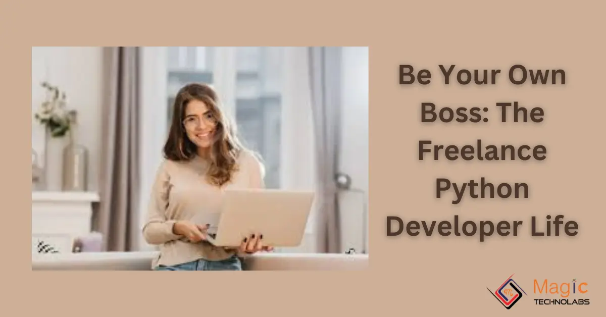 Be Your Own Boss: The Freelance Python Developer Life
