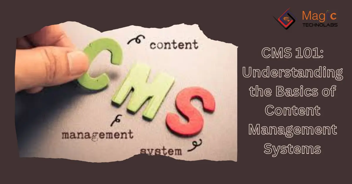 CMS 101: Understanding the Basics of Content Management Systems